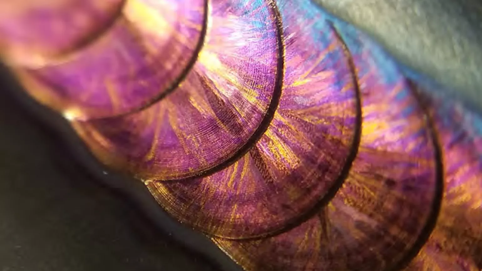 The art of TIG welding