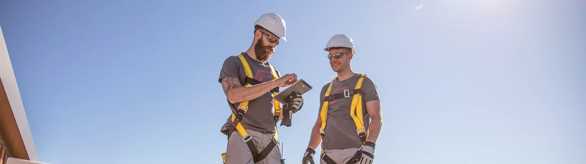 Solar.web Query API - REST API