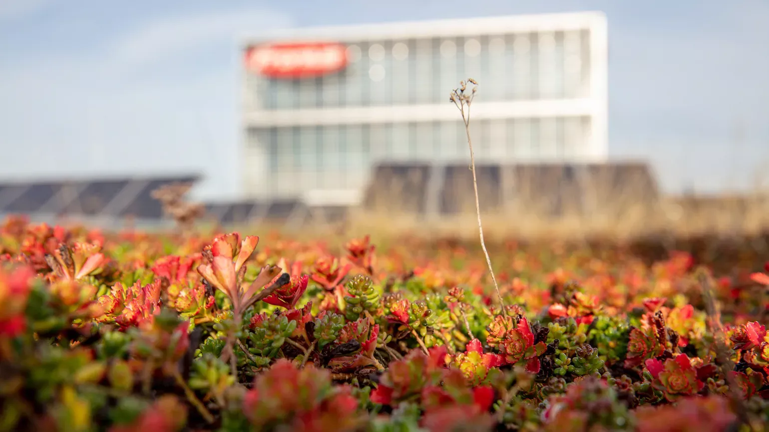 Fronius wins gold with EcoVadis rating Solar Energy - Fronius ...