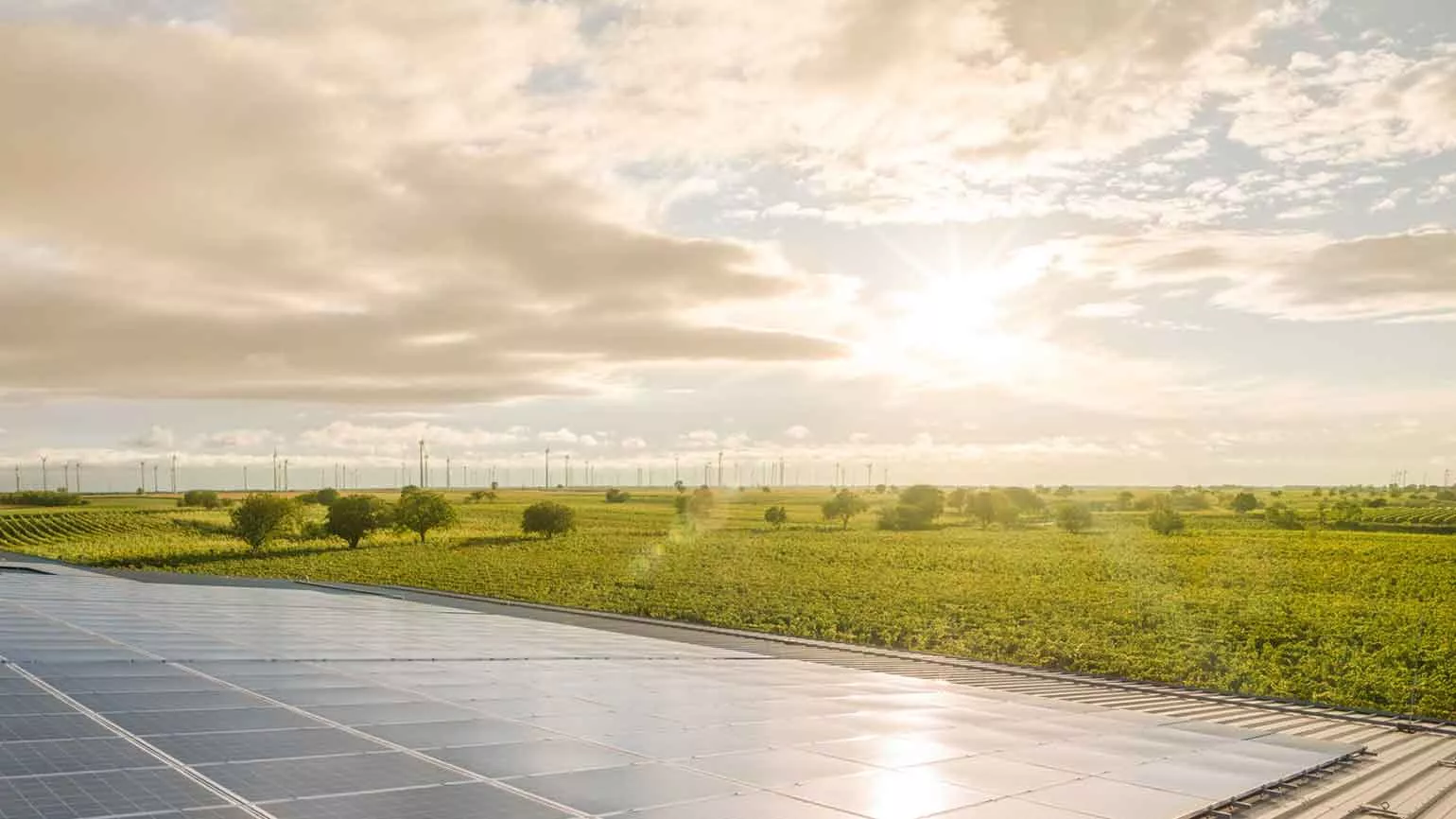 Fronius Solar Energy - Sostenibilidad